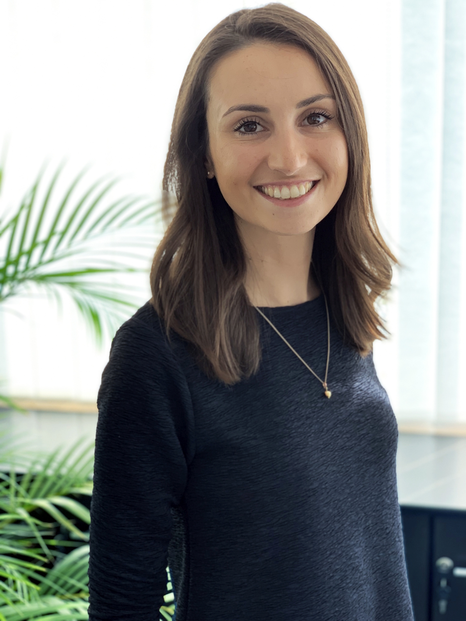 AESG Launches ‘Pathway to Net Zero’ Design Tool to Advance Region’s ...